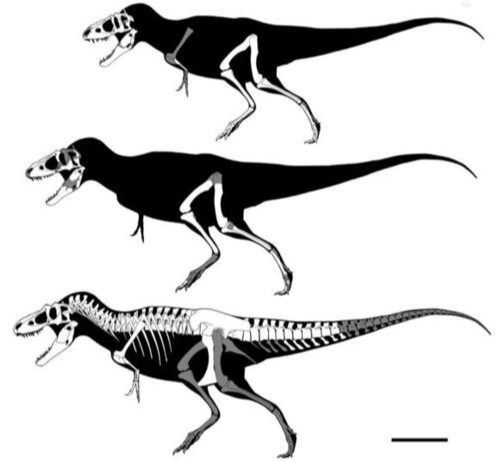 钦迪龙 - 快懂百科