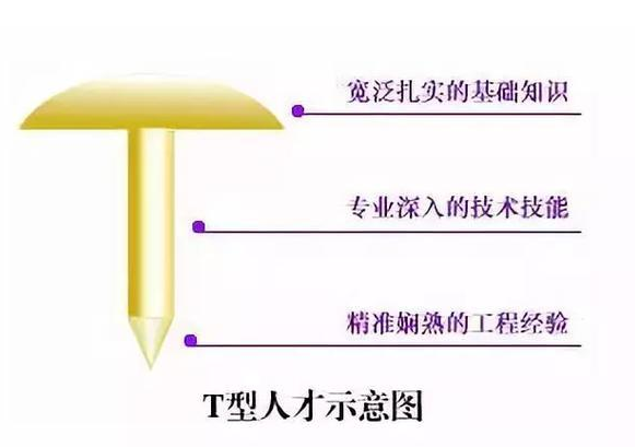 T型人才 - 快懂百科