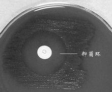 肺炎链球菌 - 快懂百科