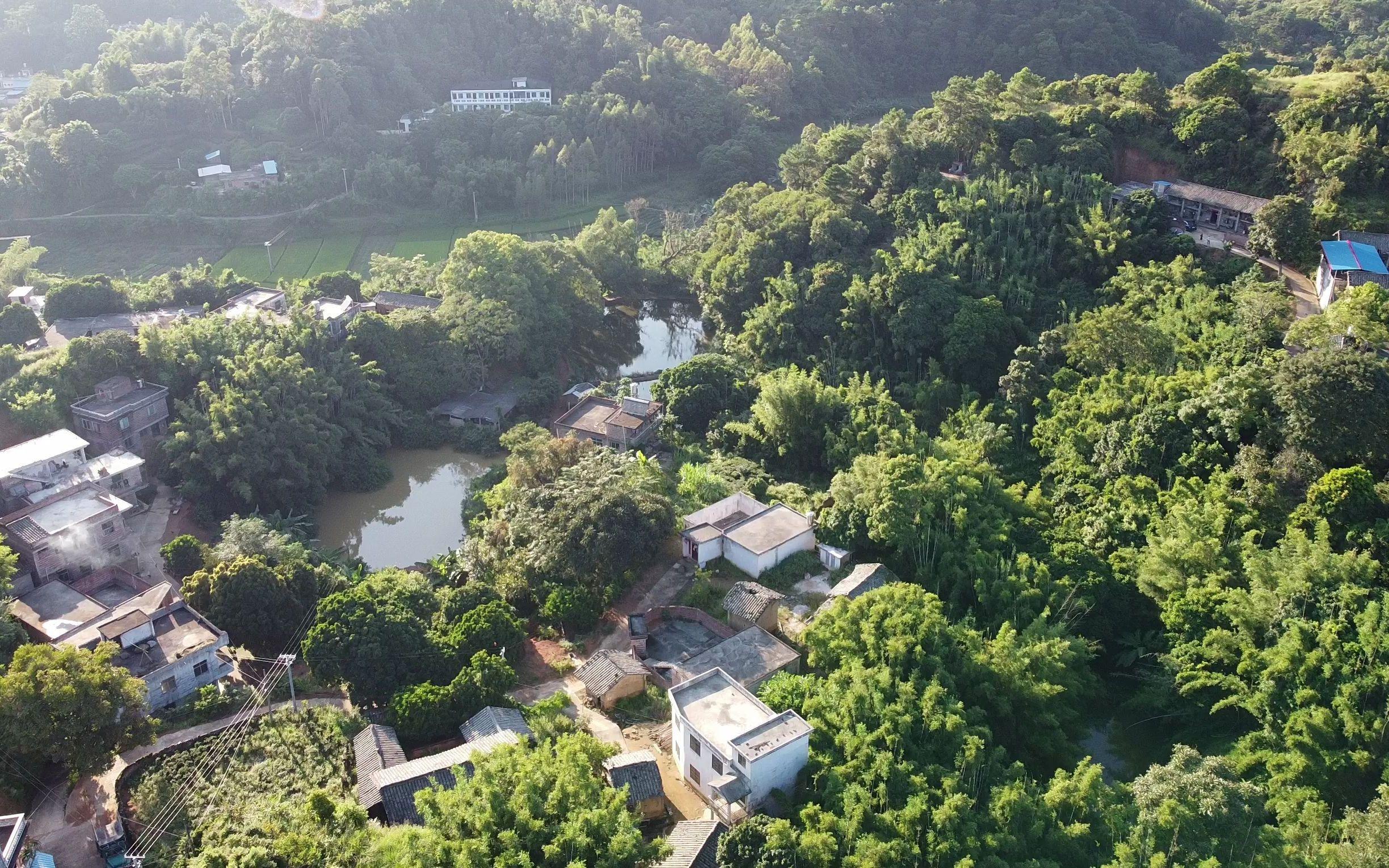 大沙村 快懂百科