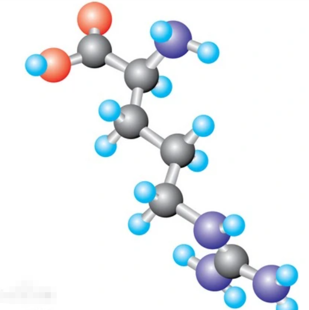 黏蛋白 - 快懂百科