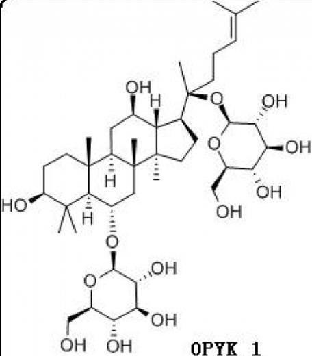 人参皂苷Rg1 - 快懂百科