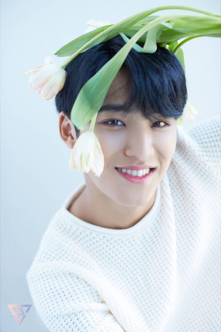 Seventeen - 快懂百科