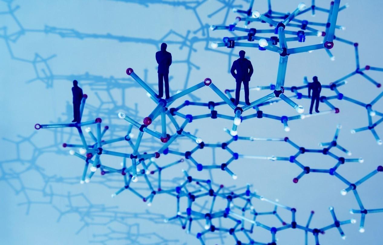 人类基因组 - 快懂百科